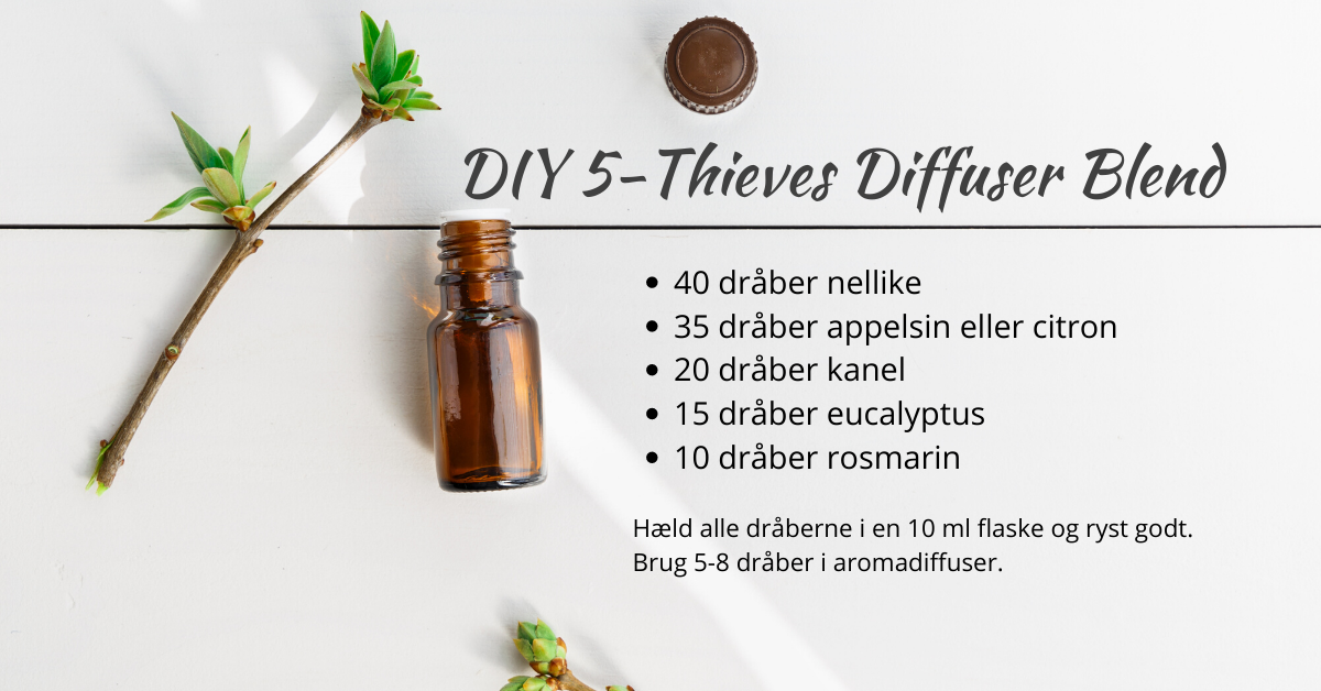 5-Thieves Diffuser Blend med nellike, rosmarin og kanel | DIY | Mimie.dk